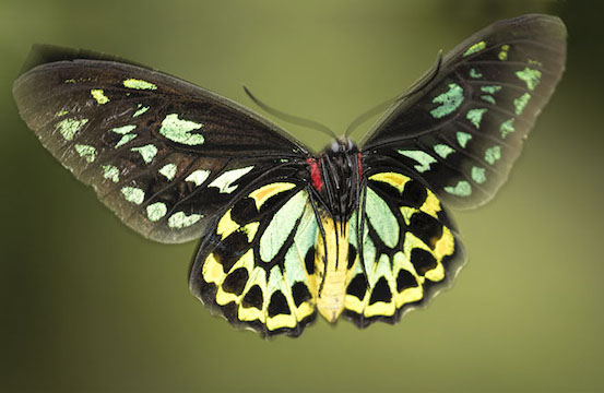 photographs by Mark Chappell