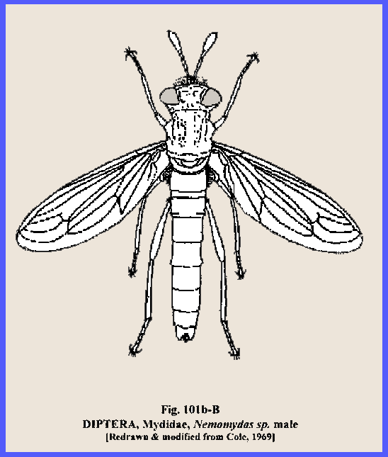 File: