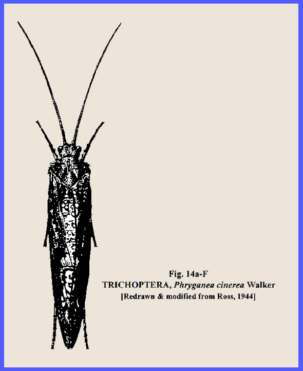 FILE: