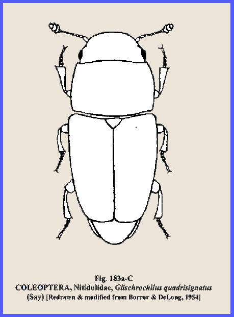 File:
