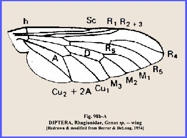 98a (97a)