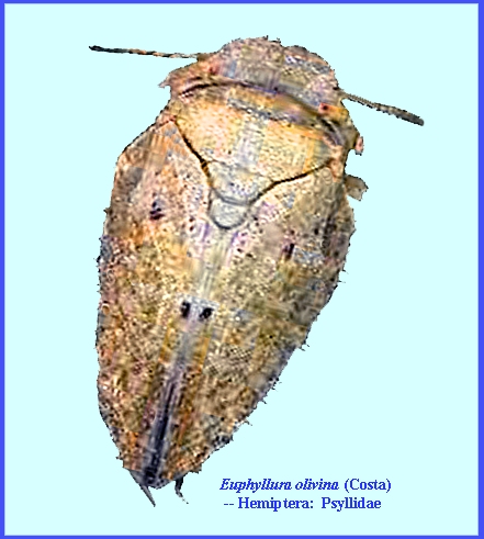 File: