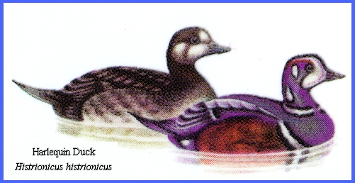 File:
