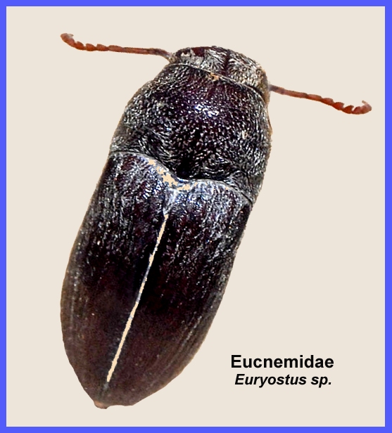 File: