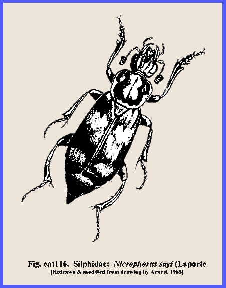 File: