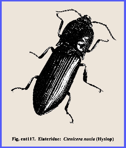 File: