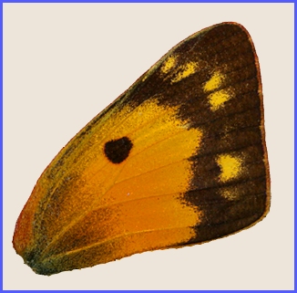 File: