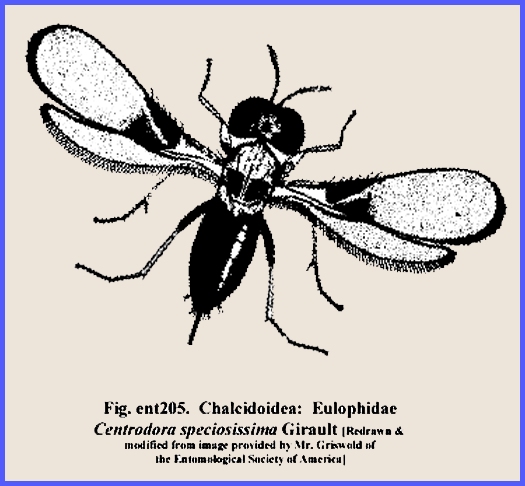 File: