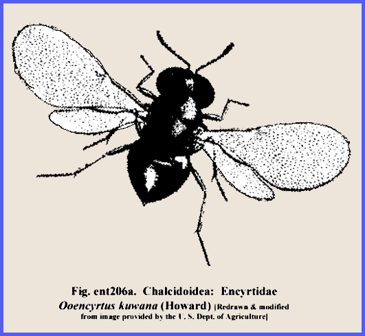 File: