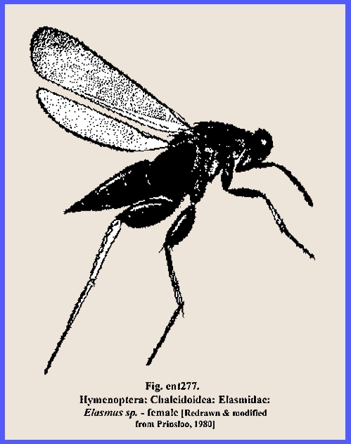 File: