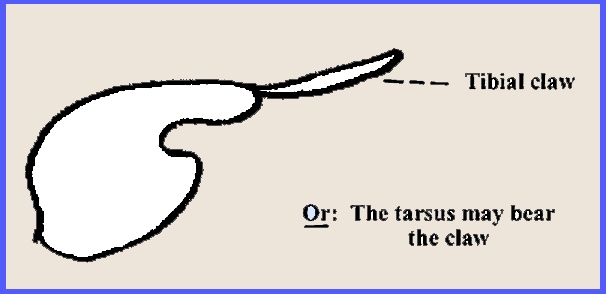 File: