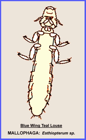 File: