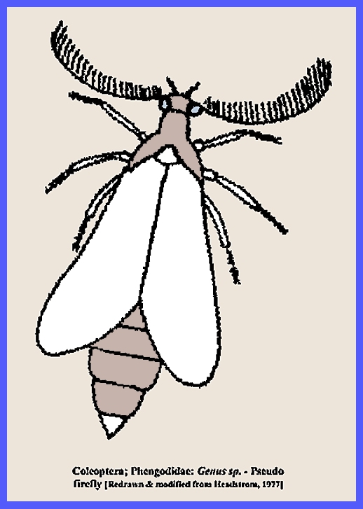 File: