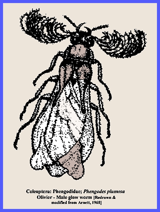 File:
