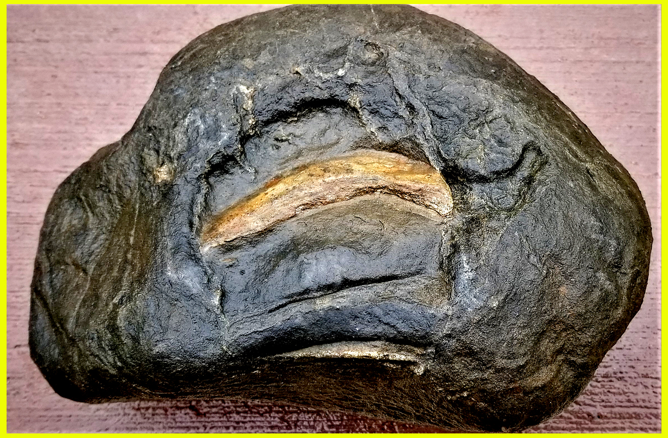 Artifact recovered from site 11
